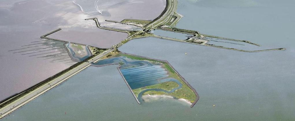 Gedrag vis in kaart voor Vismigratierivier - De Afsluitdijk