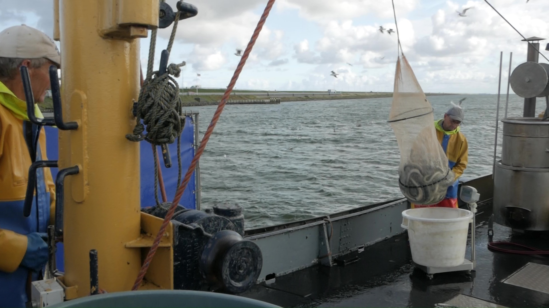 Palingen, vissen en een aalherstelplan - De Afsluitdijk