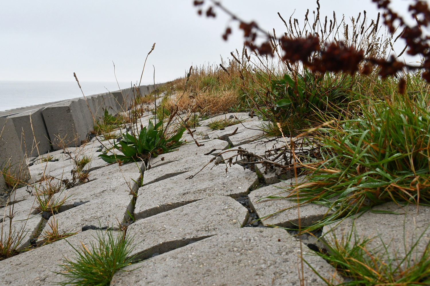 Moderne technieken en oude ambachten bij dijkversterking - De Afsluitdijk